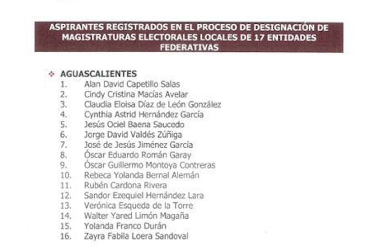 Son 16 Los Aspirantes A Convertirse En Magistrados Electorales Bi